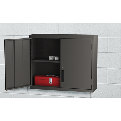 ALB PLUS All-Welded Wall Hung Storage Cabinet FJ866 (4-123630-MCAB-33 ...