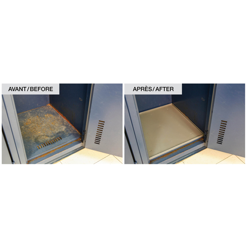 Charlize 1218-GP Locker Base Insert, Fits Locker Size 12" x 18", Light ...