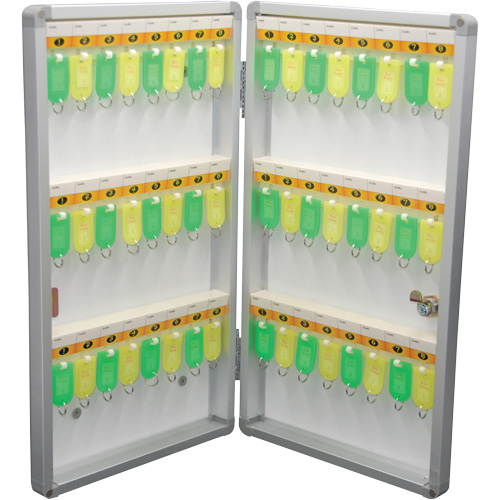 ROYAL SOVEREIGN Aluminum Key Cabinet, 48 Keys, Silver FL811 (KMCS-48 ...