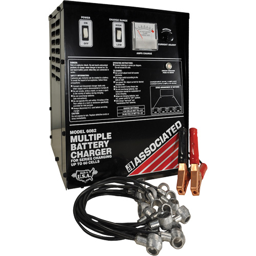 Associated Equipment 6082 Multi-Battery Series Charger