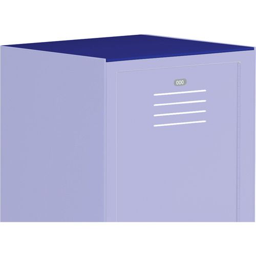 BRADLEY Lenox® Plastic Z-Locker Starter Unit FM899 | Shop Plastic ...