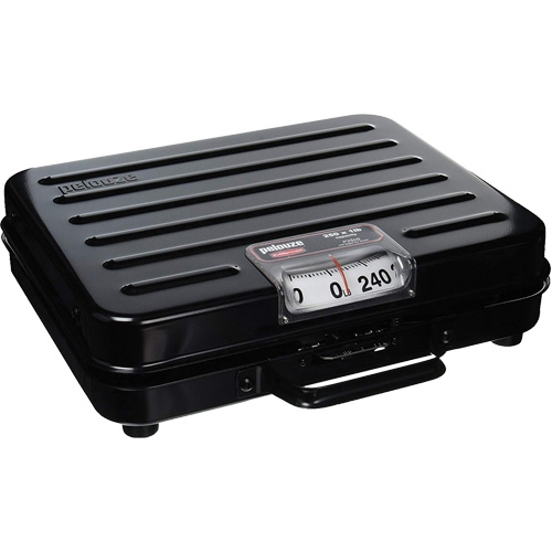 Rubbermaid FGP250S Briefcase/Utility Mechanical Receiving Scale, 250 ...