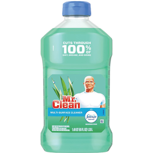 MR. CLEAN Multi-Surface Cleaner, Bottle JL924 (78429) | Shop All ...