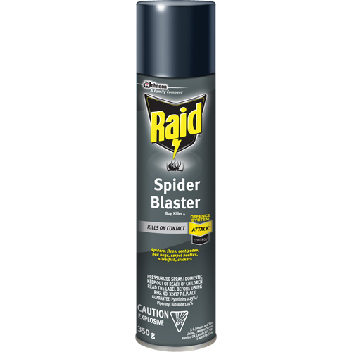 SC JOHNSON Raid® Spider Blaster Bug Killer Insecticide, 350 g, Aerosol ...