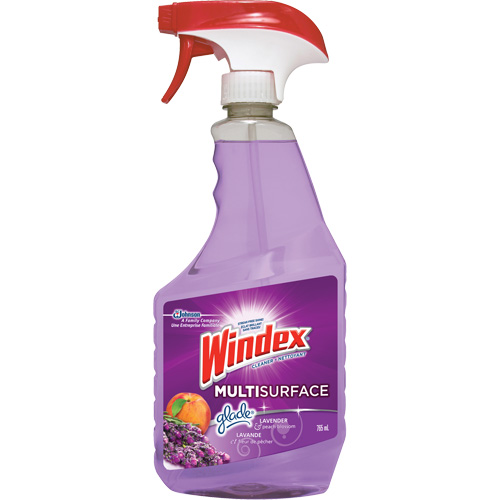 SC JOHNSON Windex® Multi-Surface Cleaner, Trigger Bottle JM291 ...