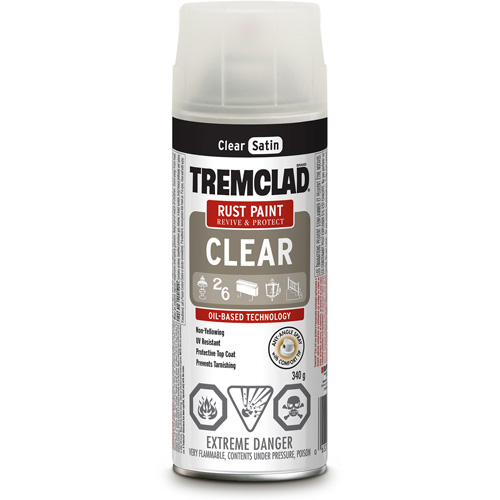 RUST-OLEUM Tremclad® Oil Based Rust Paint, Clear, Aerosol Can KQ671 ...