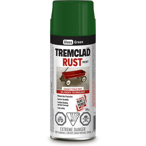 RUST-OLEUM Tremclad® Oil Based Rust Paint, Green, Gloss, Aerosol Can ...