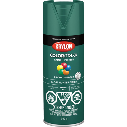 KRYLON INDUSTRIAL COLORmaxx Spray Paint, Green, Gloss, 12 oz., Aerosol ...