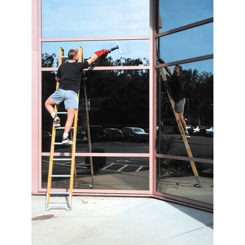 FEATHERLITE Single Section Straight Ladder - 6100 Series, 10 ...