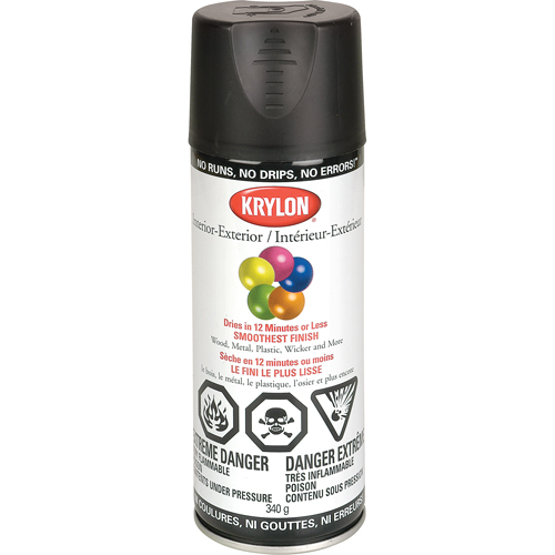 Krylon Industrial K01613A07 Spray Paint, Black, Semi-Flat, 12 oz ...