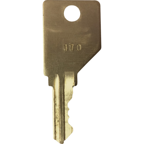 Frost C550 Replacement Key for Frost Smoking Receptacles
