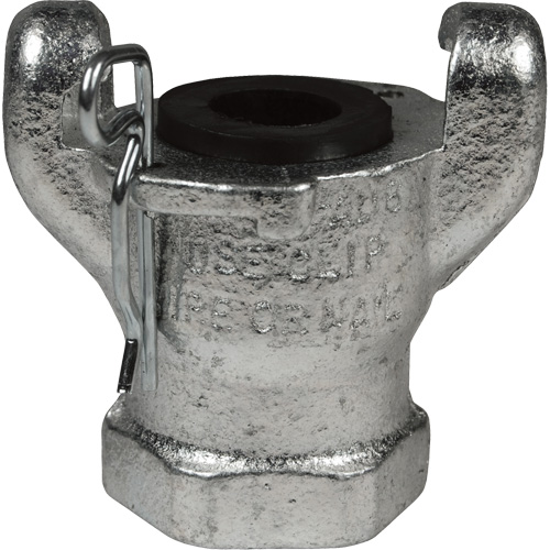 Dixon Group AM8 Air King End, Iron, 3/4", Male NPT, 150 PSI