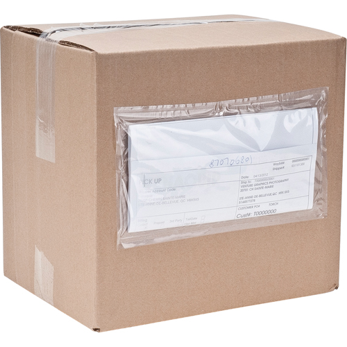 Belle-Pak BC200 Packing List Envelopes, 9-1/2" L x 5" W, Backloading Style