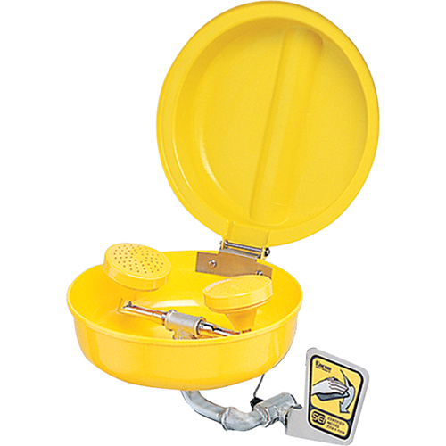 ENCON Eye/Face wash With Cover SAK650 (01035515PBC) | Shop Eyewash and ...