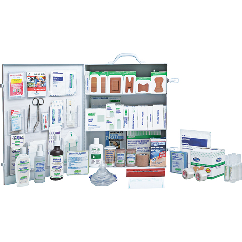 SAFECROSS Manitoba Specialty First Aid Kit SDP544 (1872) | Shop ...