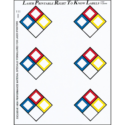 BRADY Right-to-Know Printable Labels SY717 (59251) | Shop WHMIS GHS ...