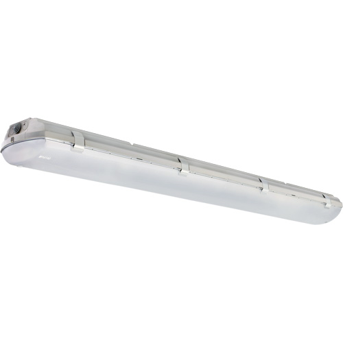 BEGHELLI Illumina® Vapor Tight Lighting Unit, Polycarbonate, LED, 120 ...
