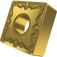 Outils et produits essentiels d'entretien | Tenaquip