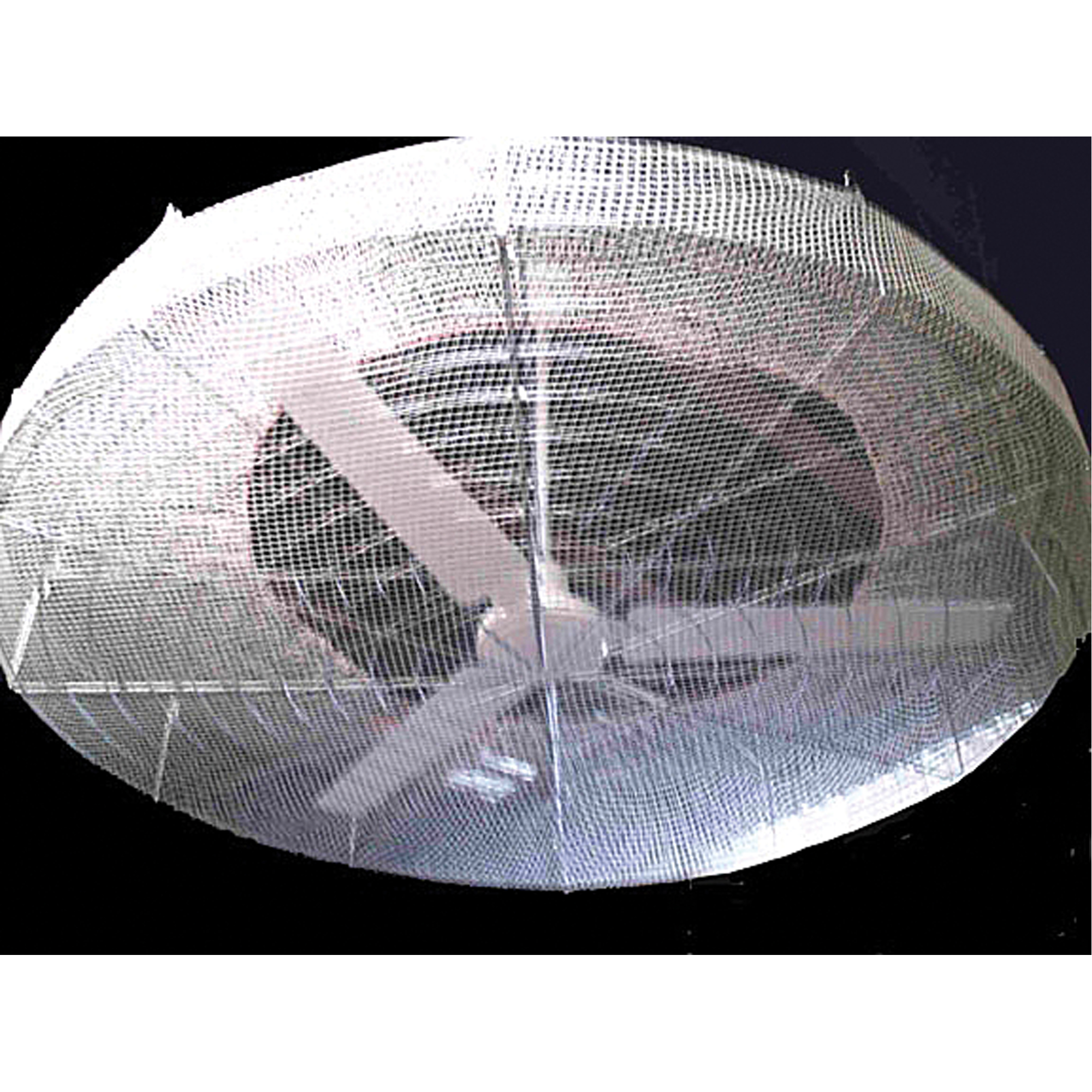 Ceiling Fan Guard | Shelly Lighting