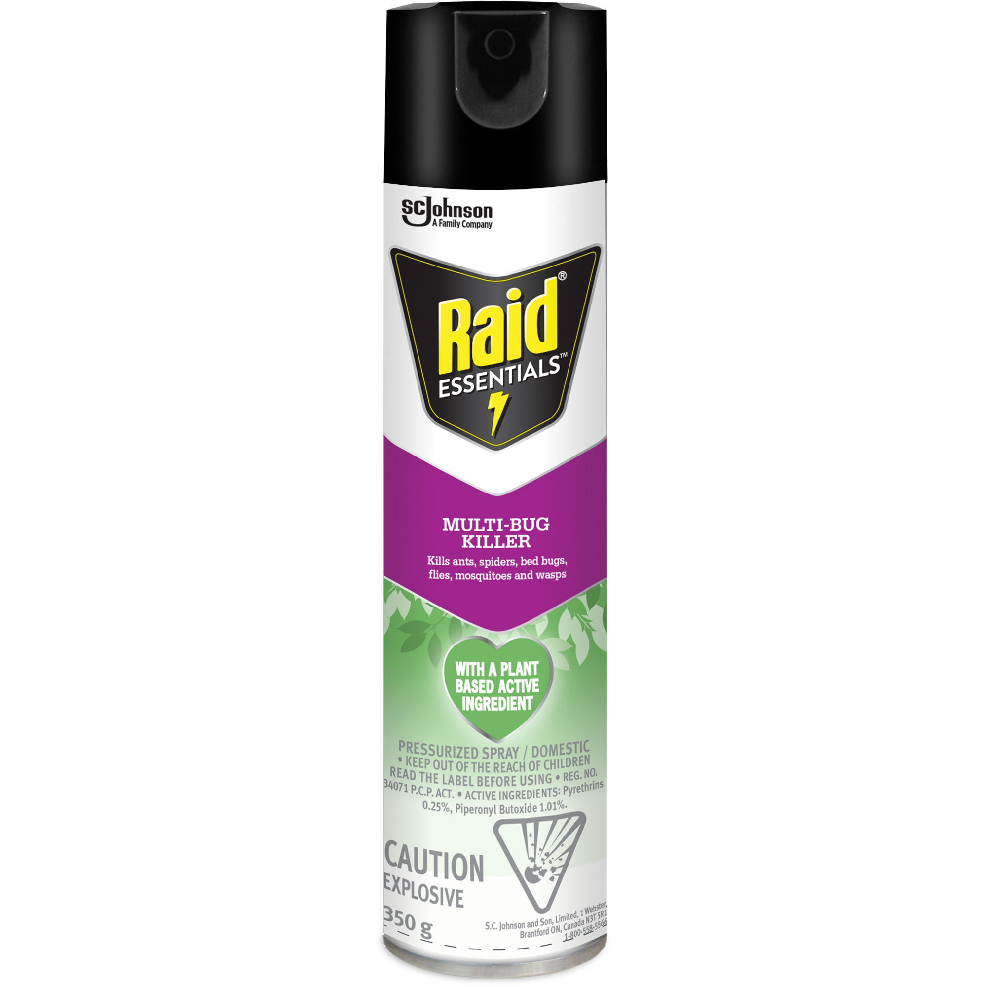 SC Johnson 10062300007902 Raid® Essentials Multi-Bug Killer, 350 g ...