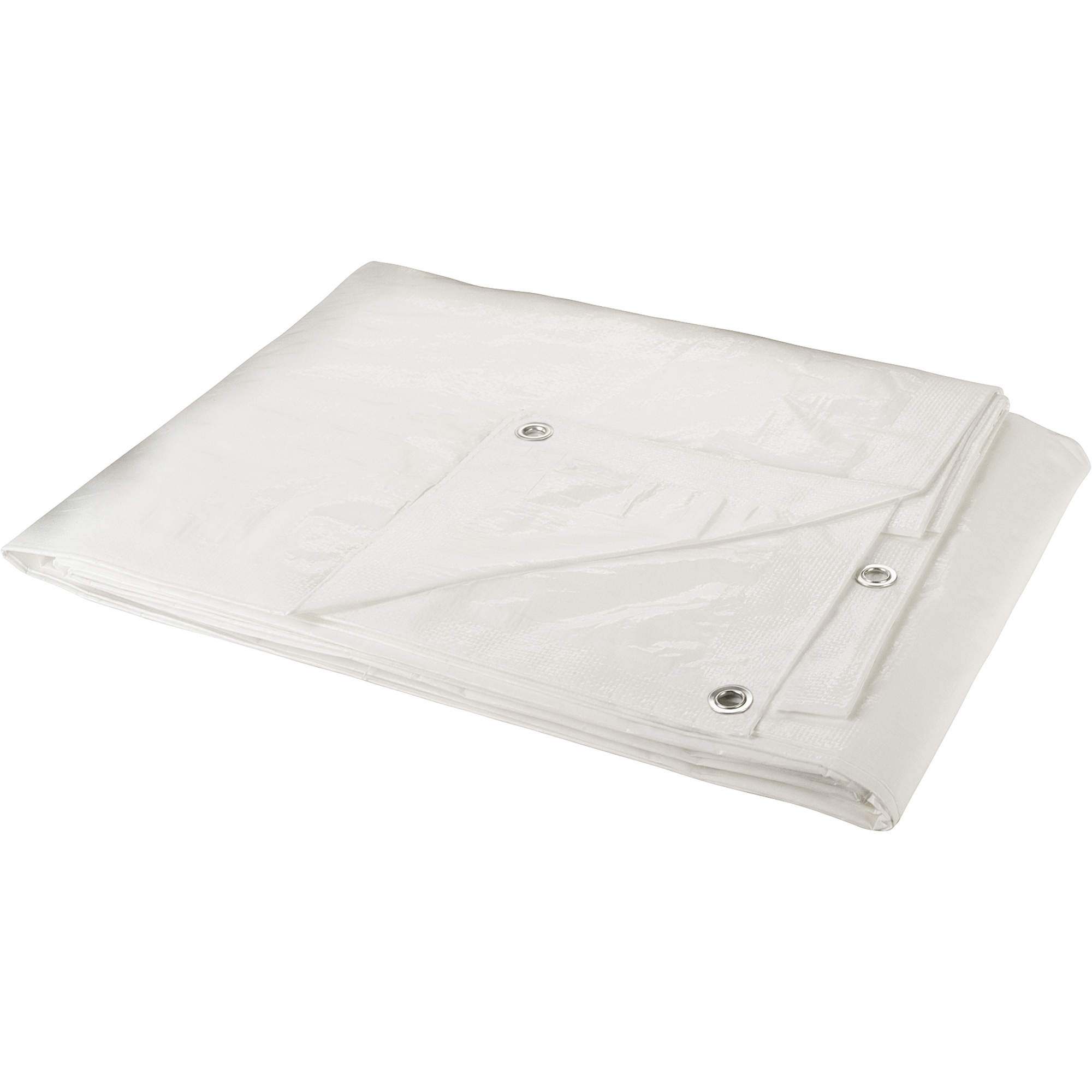 KLETON Tarp, Heavy-Duty, White, 30' x 20' x 6 mils NN391 | Shop ...