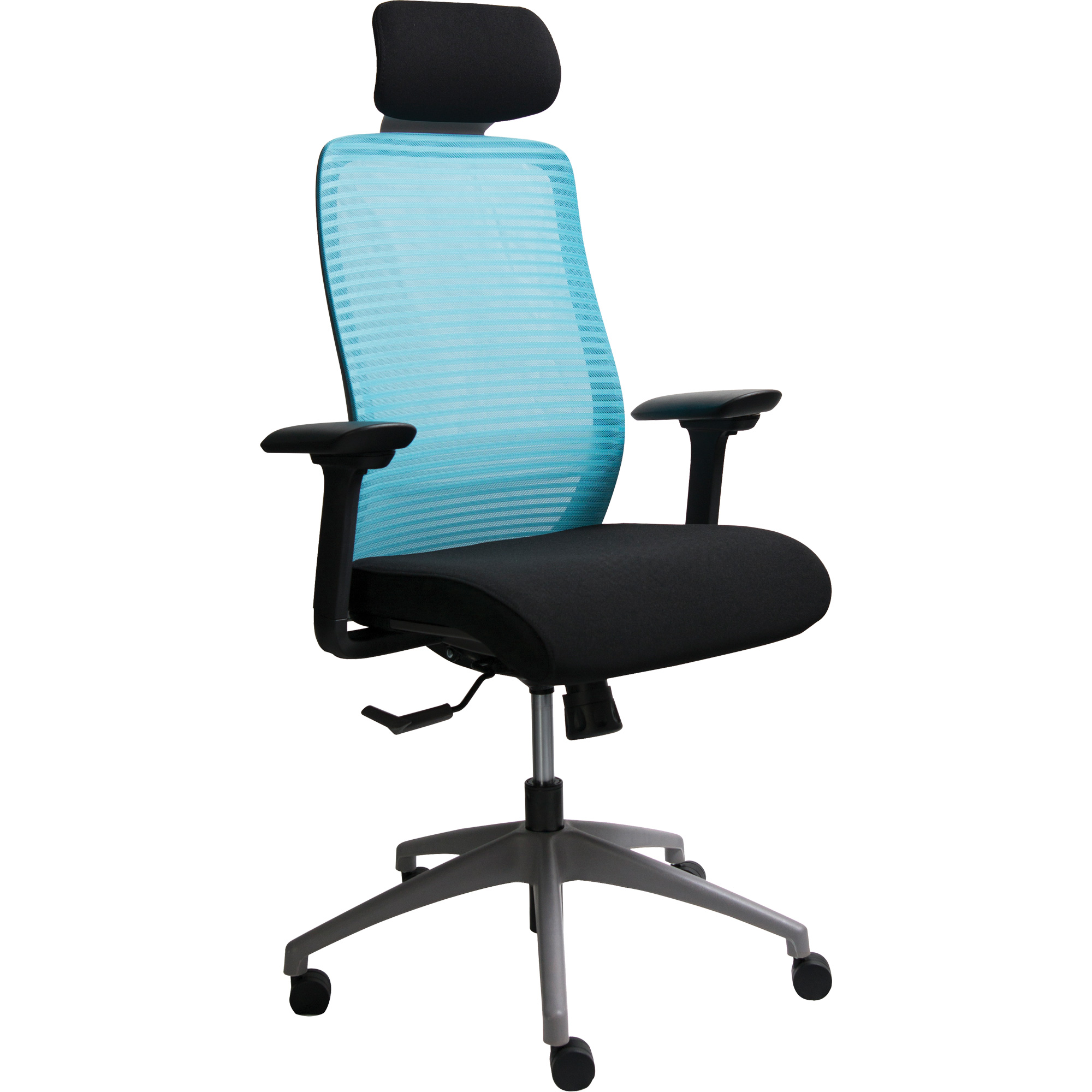 Horizon Seating A-58-LB Era Series Adjustable Office Chair with ...