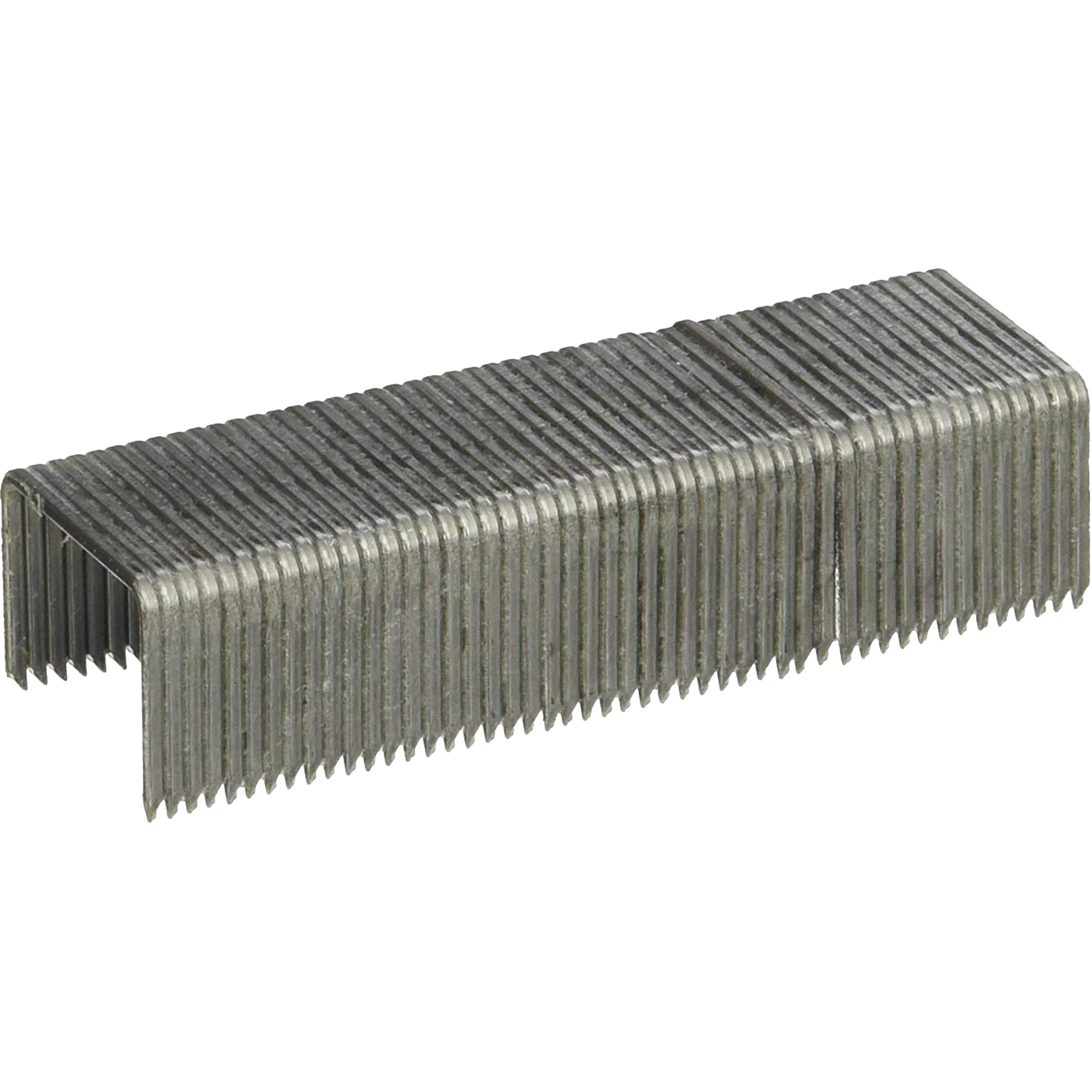 Arrow 65S Staples for HT65 Hammer Tacker, 16 Gauge, 3/4" Wide Crown, 19 ...