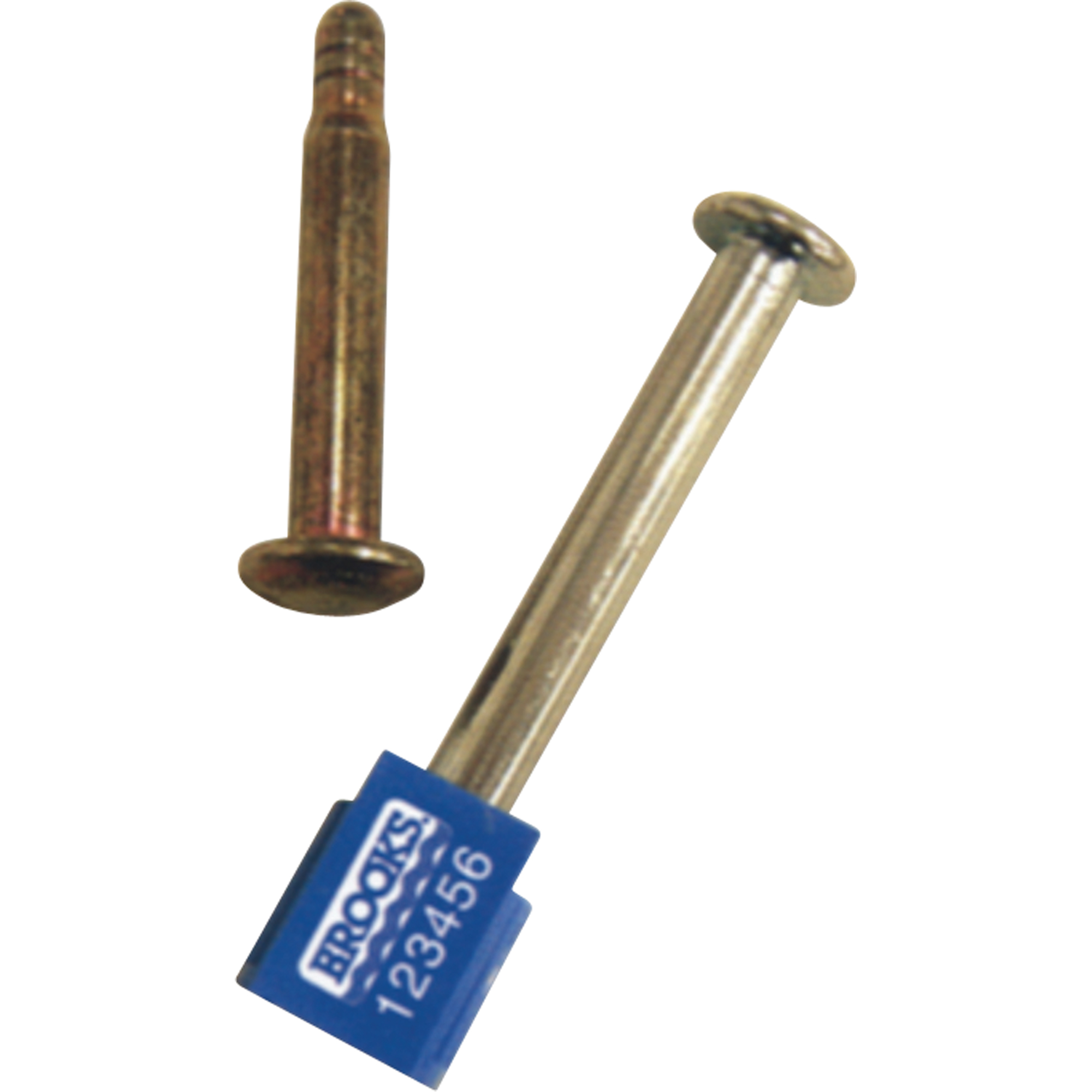 Tyden Brooks 9254095H-BLUE Intermodal II® Security Seals, 2-1/2", Metal ...