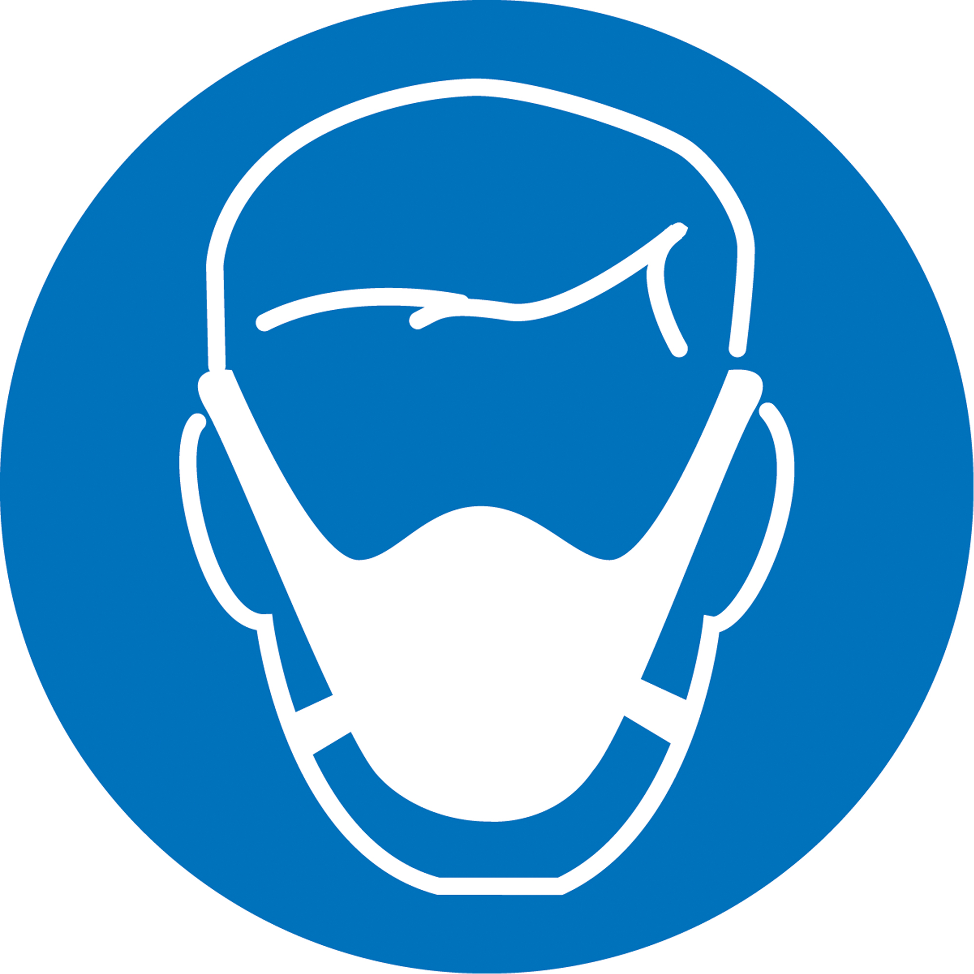 Accuform Signs LSGM2324 étiquettes avec pictogrammes EPI, Vinyle ...