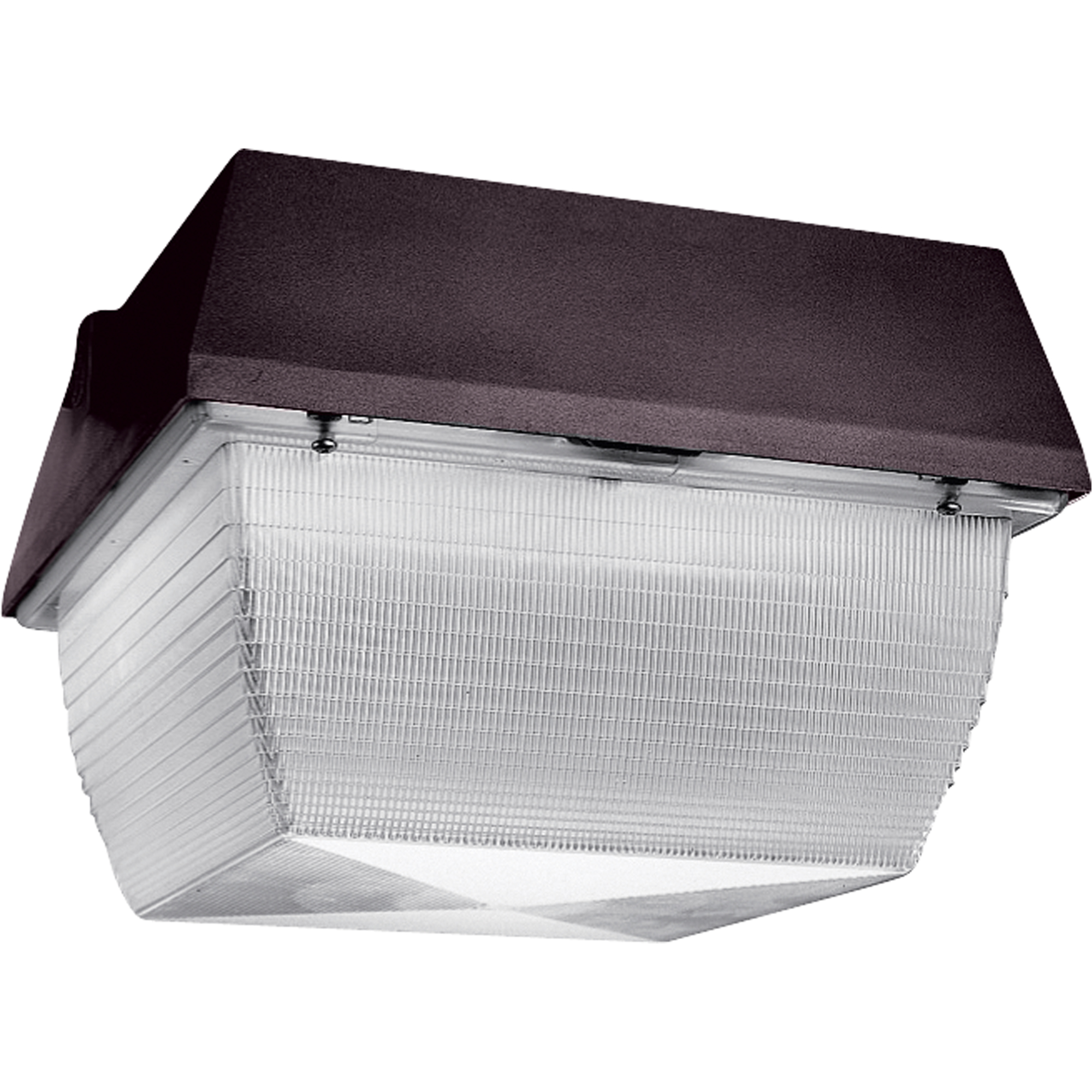 STANPRO LIGHT GUARD MASTER 100W120V HPS XA474 (IFH-S0100-A) | Shop ...